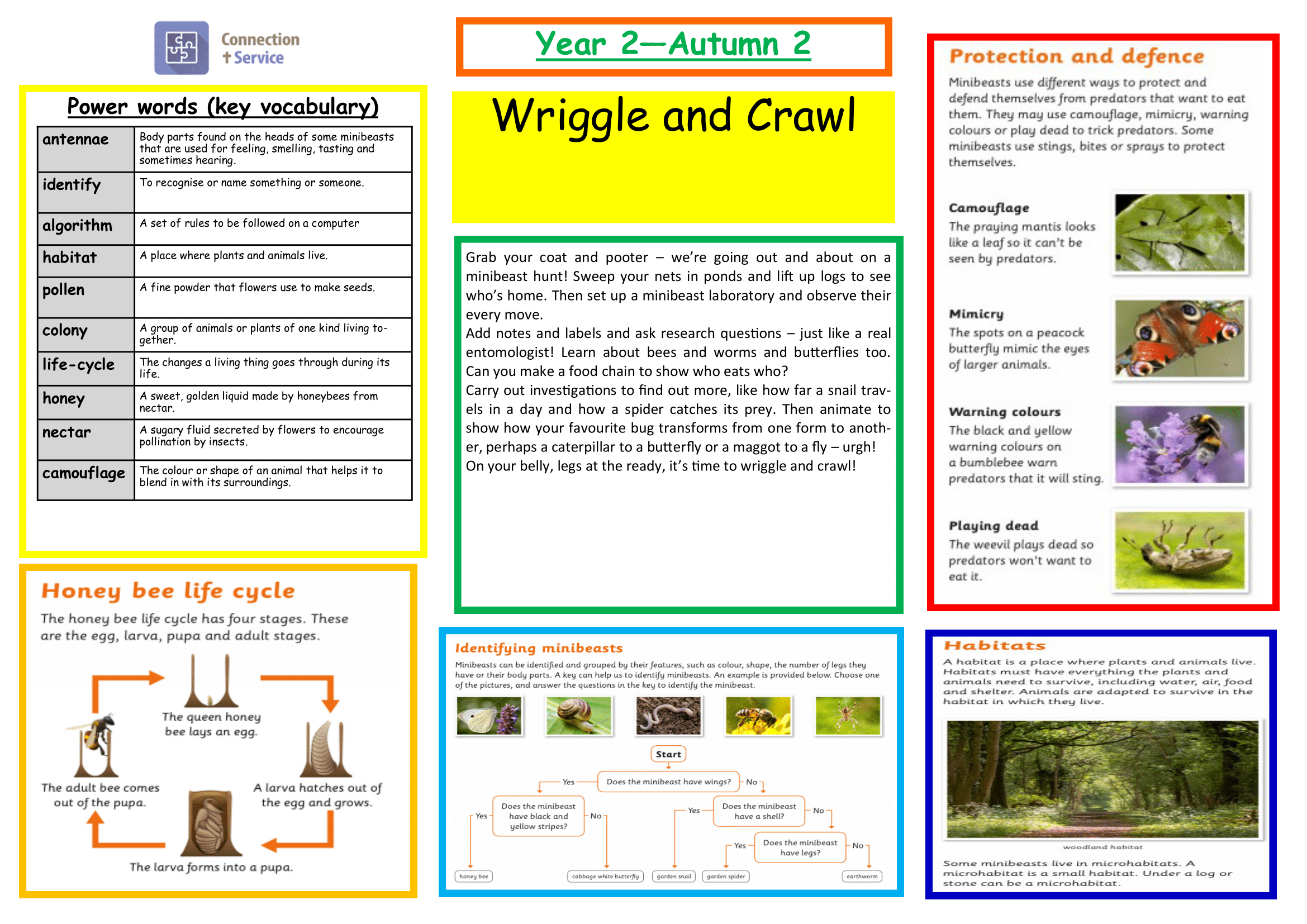Knowledge Organisers - Barrow CEVC Primary School